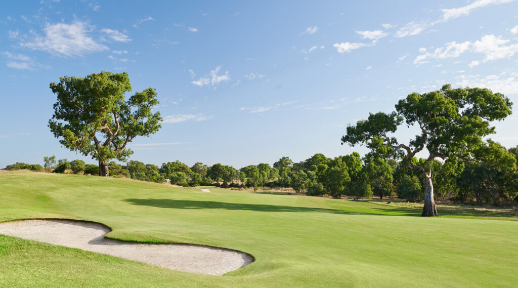 Balmain – Blueways Group