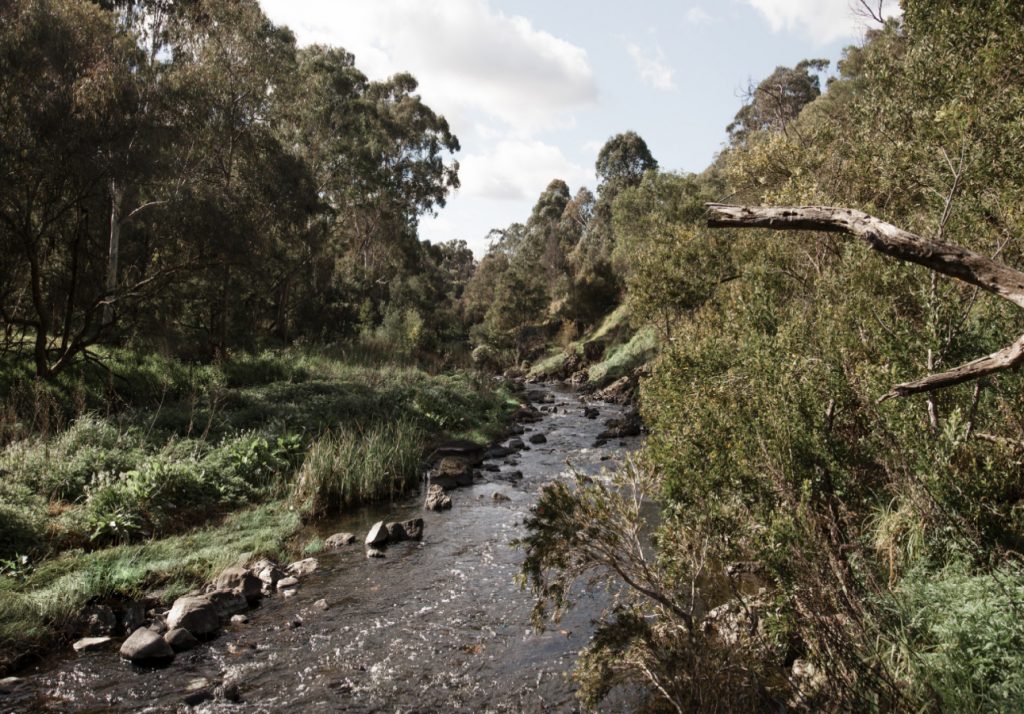 Platform – Blueways Group